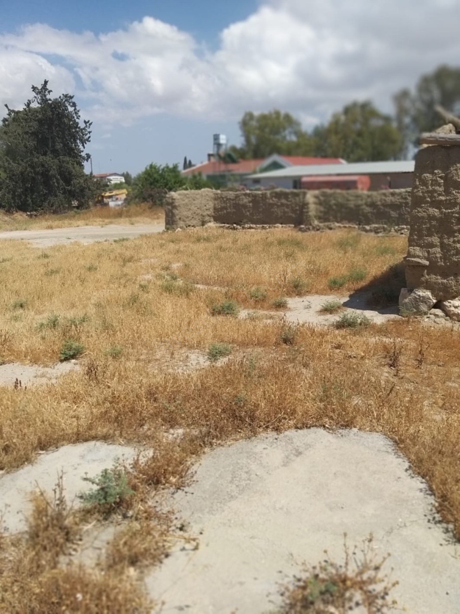 Türk Koçanlı, Köy Yaşantısını Sevenler İçin Uygun Geniş Arazili Konut ...
